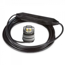 ECCO 9031C Clear Concealed LED | TLP