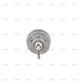 Pollak 31-608 4-Position Ignition Switch | TLP